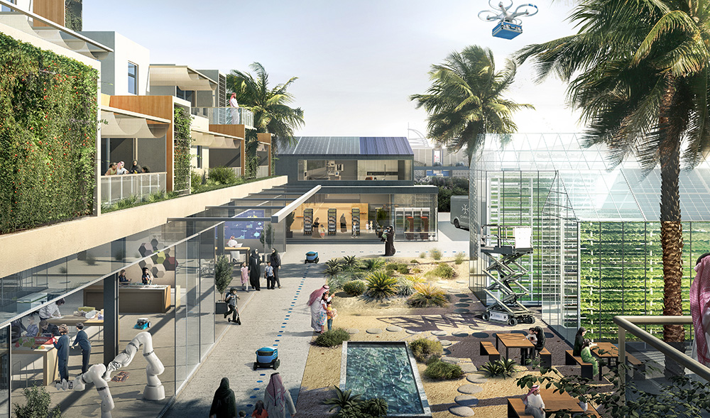 Riyadh Vision 2050 - Tekuma Frenchman