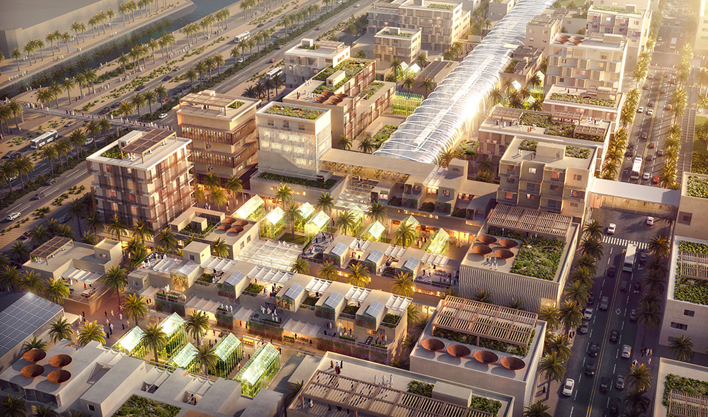 Riyadh Vision 2050 - Tekuma Frenchman