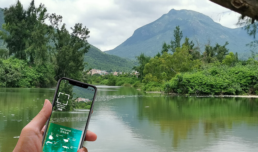 Water Matrix, Lake Regeneration - Tekuma Frenchman